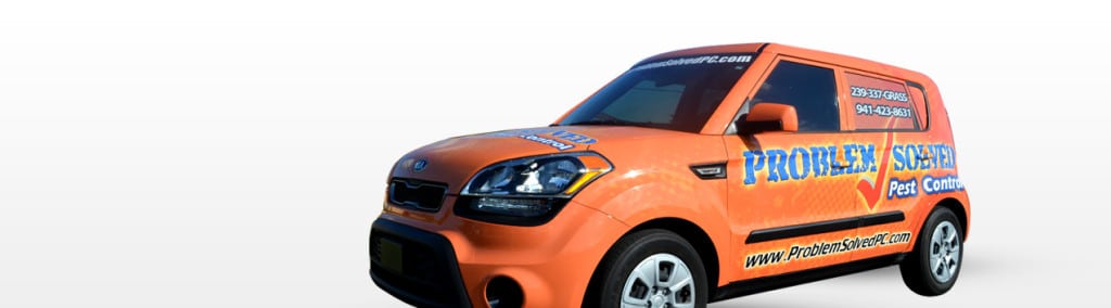 car • Problem Solved Pest Control